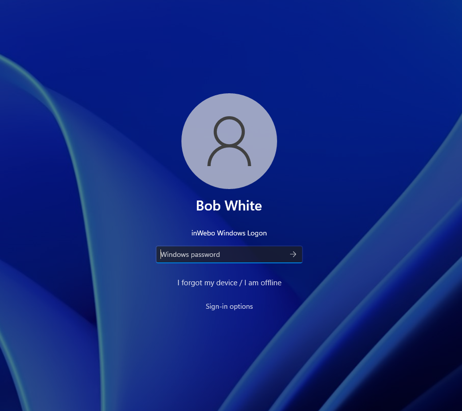 TrustBuilder Windows Logon